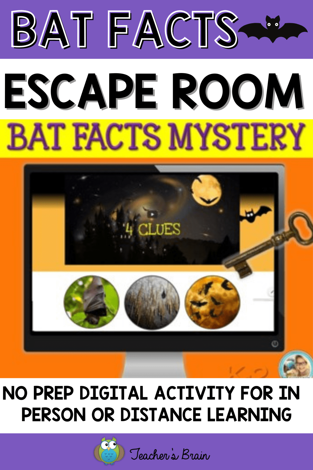 Facts About Bats For Kids - Teacher's Brain