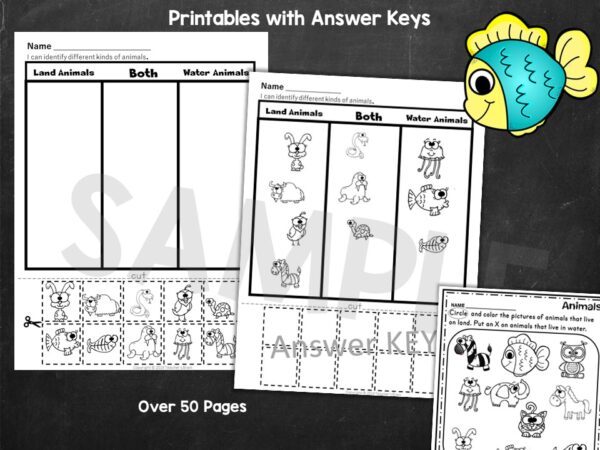 Animal Classification Habitats | Kindergarten | 1st Grade - Teacher's Brain