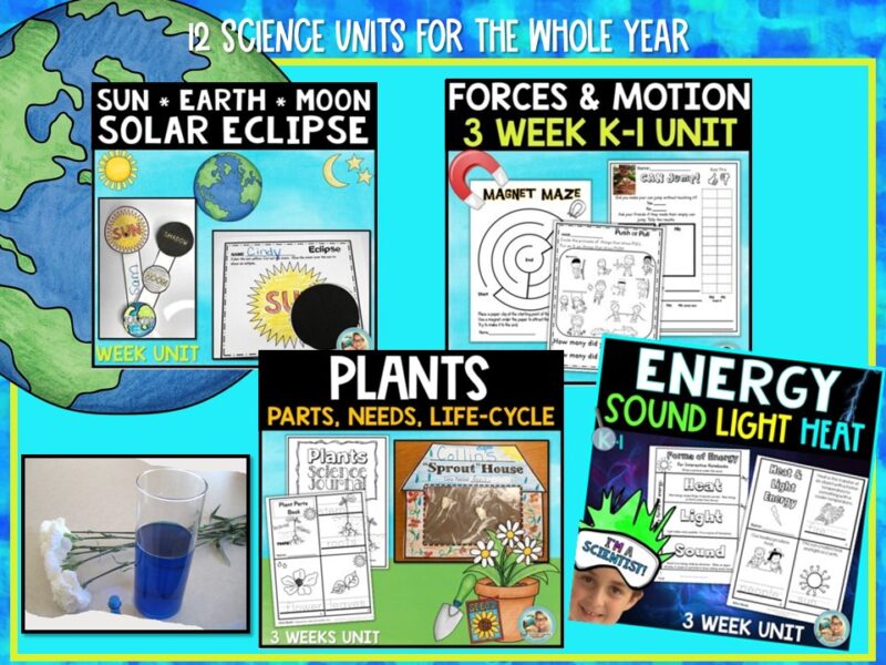 Science Curriculum kindergarten and 1st Grade Yearlong BUNDLE - Teacher ...