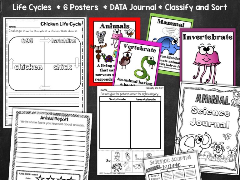 Animal Classification Habitats | Kindergarten | 1st Grade - Teacher's Brain
