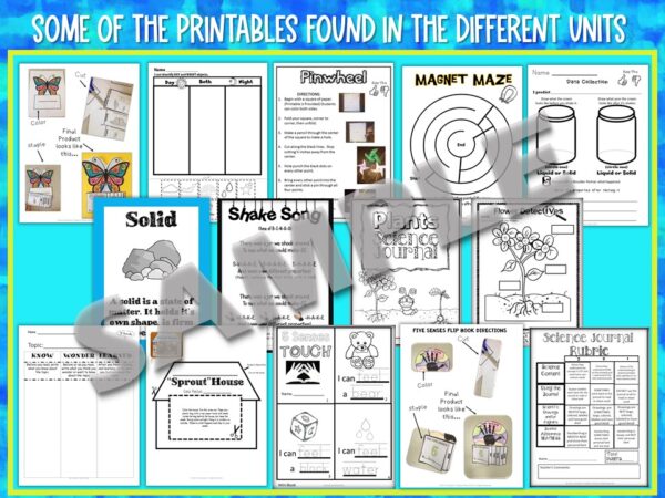 Science Curriculum kindergarten and 1st Grade Yearlong BUNDLE - Teacher ...