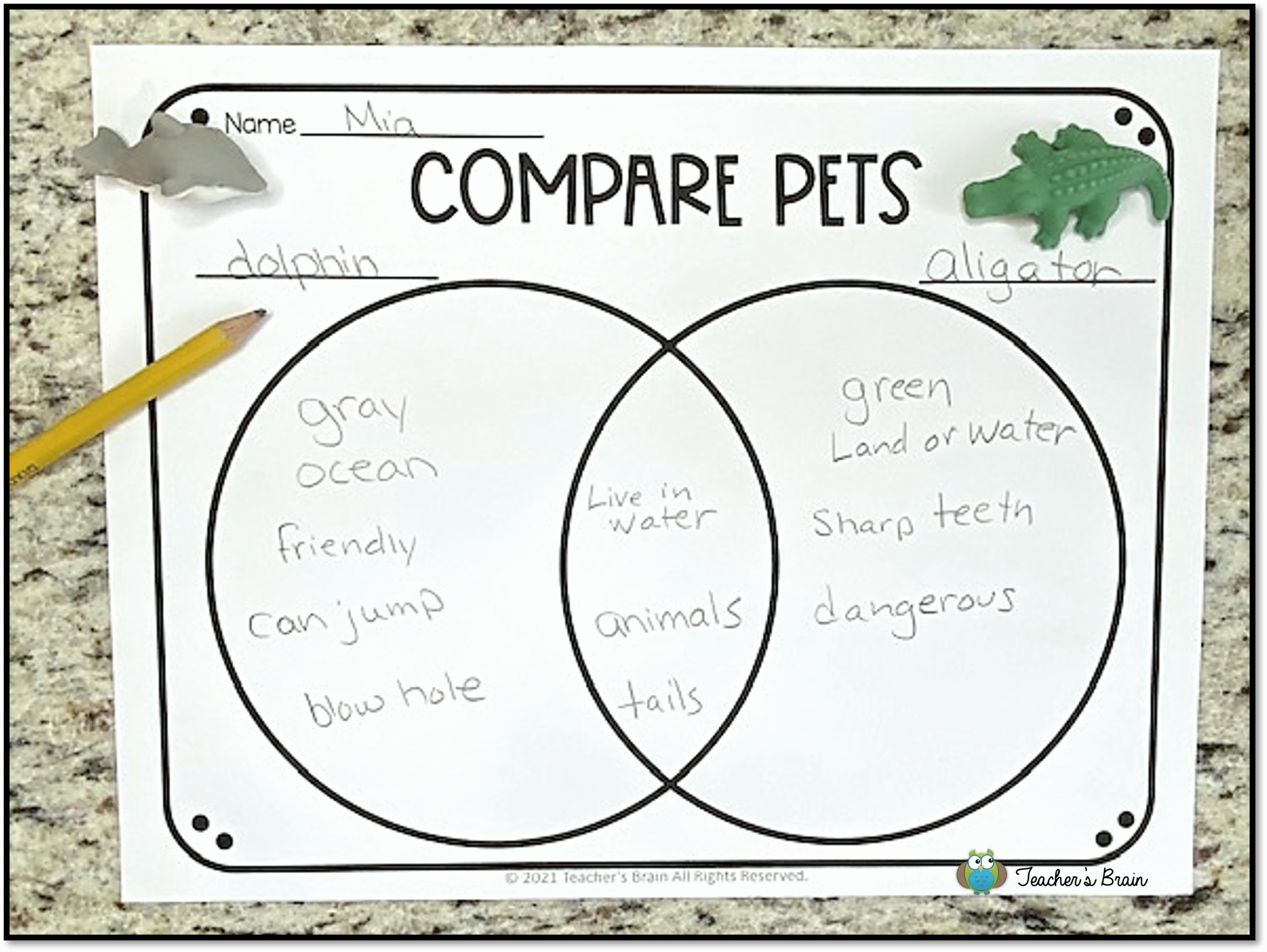 Desk Pets for the Classroom: a Behavior Management Tool - Teacher's Brain