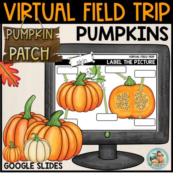 Pumpkin Patch Virtual Field Trip for Kids - Teacher's Brain