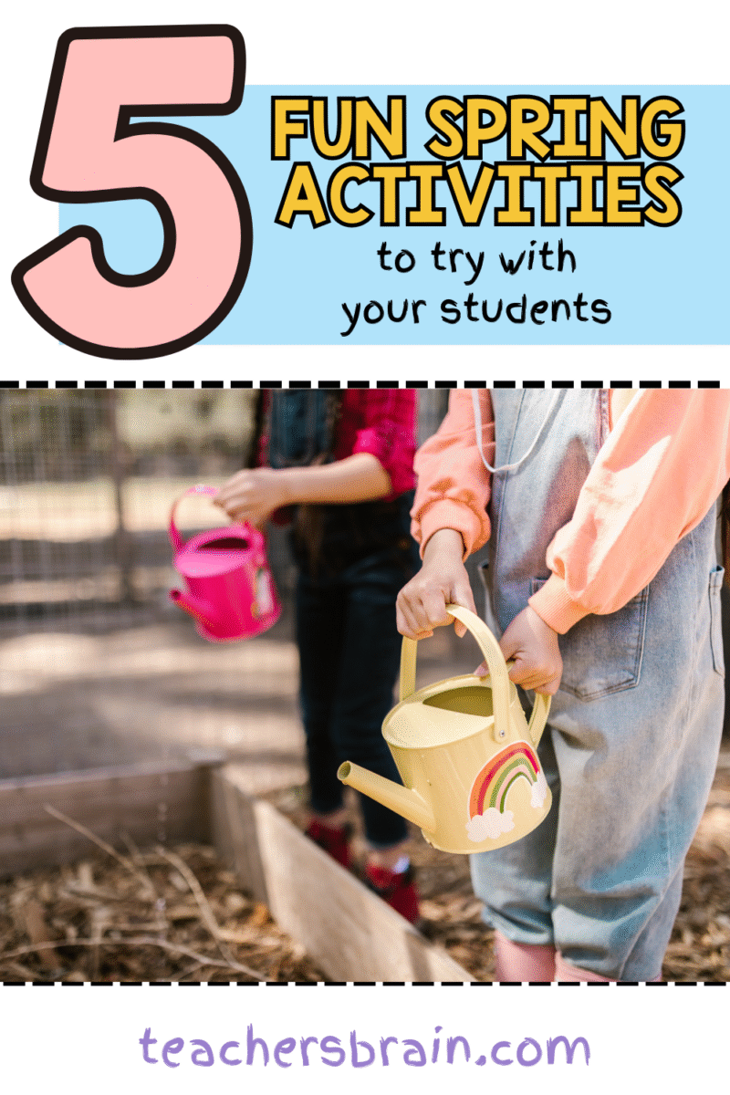 5 Fun Spring Activities for Kindergarten and First Grade - Teacher's Brain