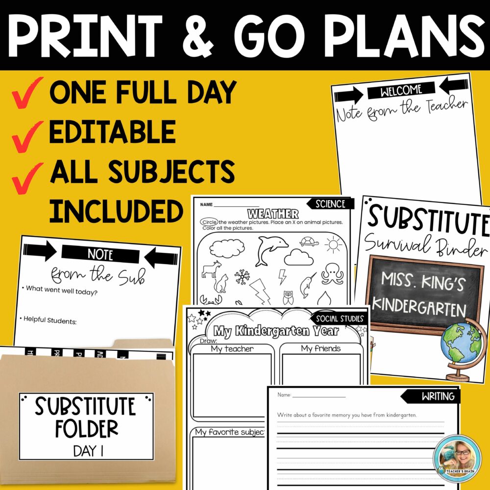 End of the Year Emergency Sub Plans Kindergarten FULL DAY Print & Go ...