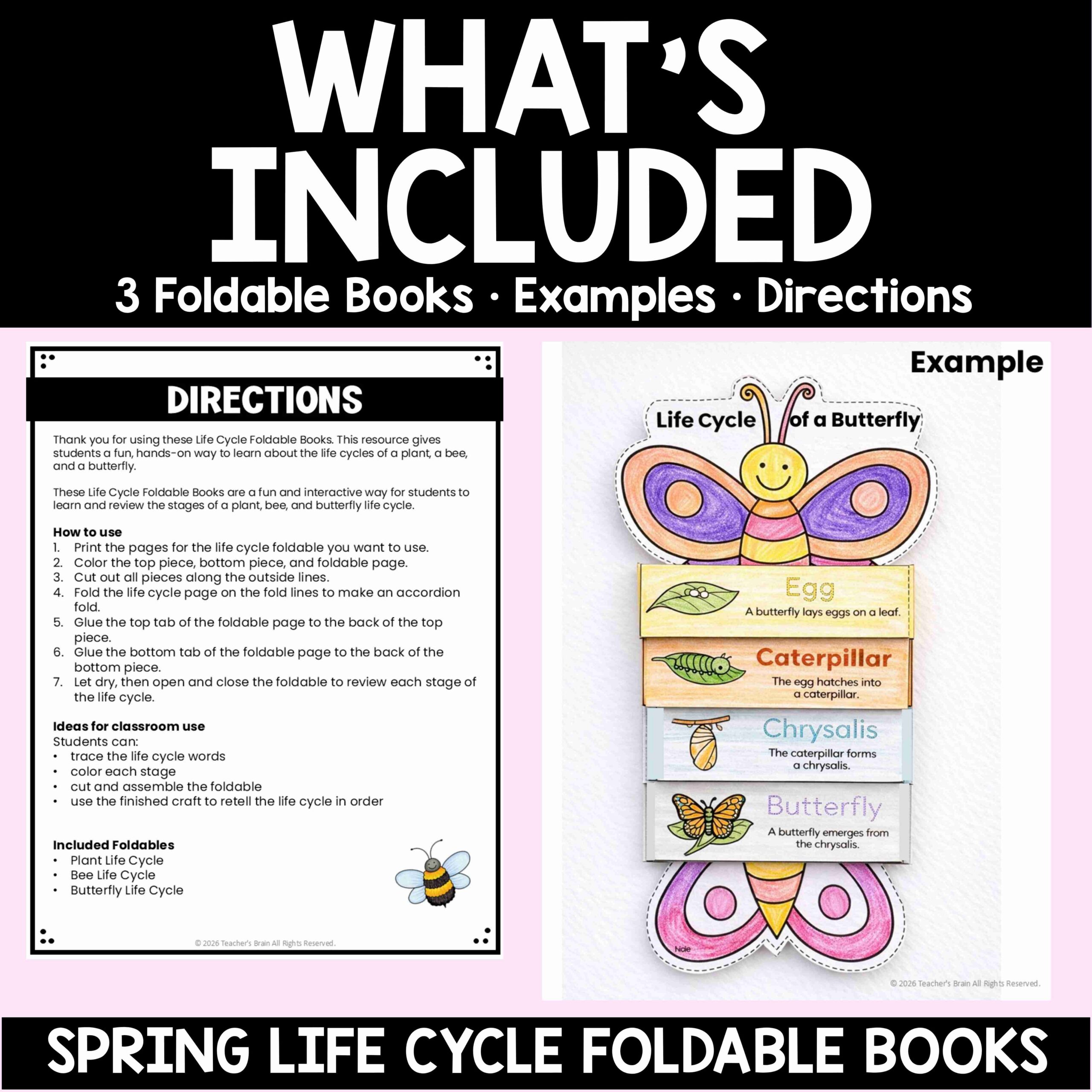 Spring Life Cycle Foldable Books | Plant, Bee, Butterfly Craft | K-2 ...